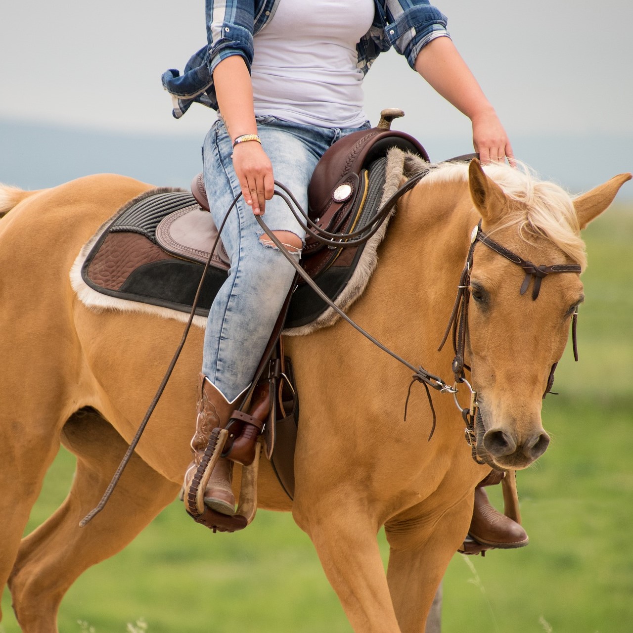 Lessons & Training – Riverfront Equestrian Centre